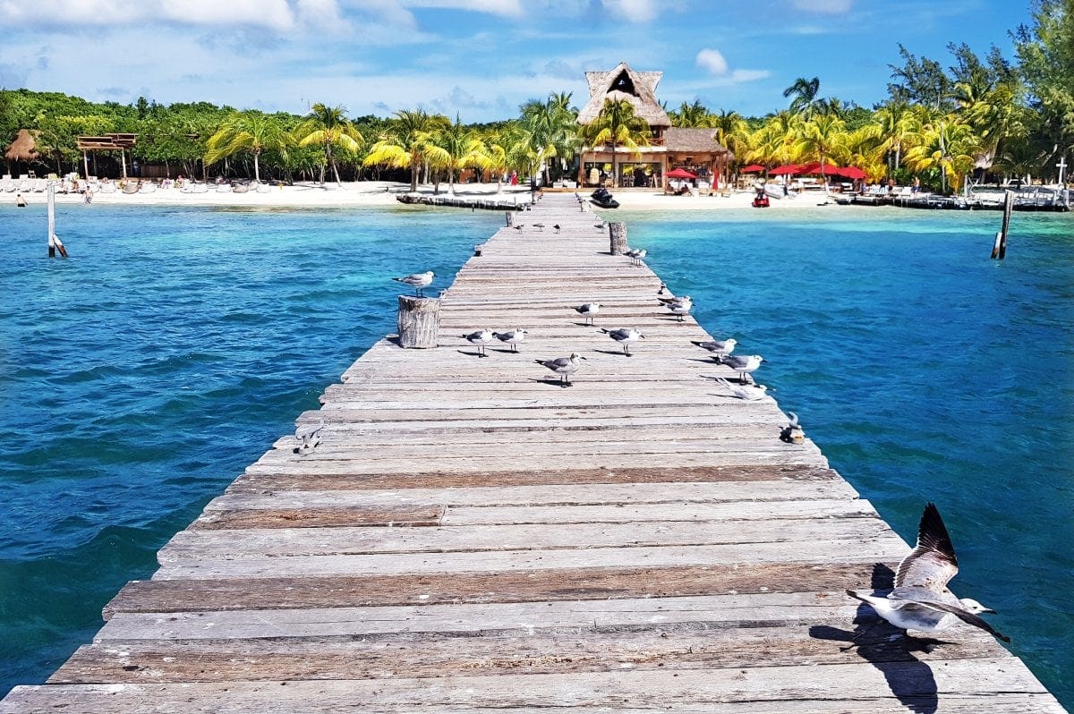 Guide to Exploring Cancún, Mexico | The Green Voyage