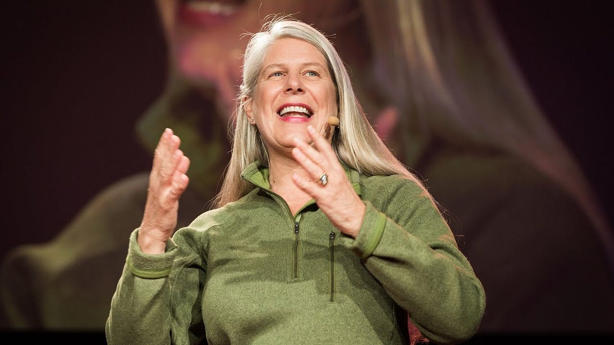 A Stroke of Insight. Dr. Jill Bolte Taylor is a Harvard… | by Block 39 ...