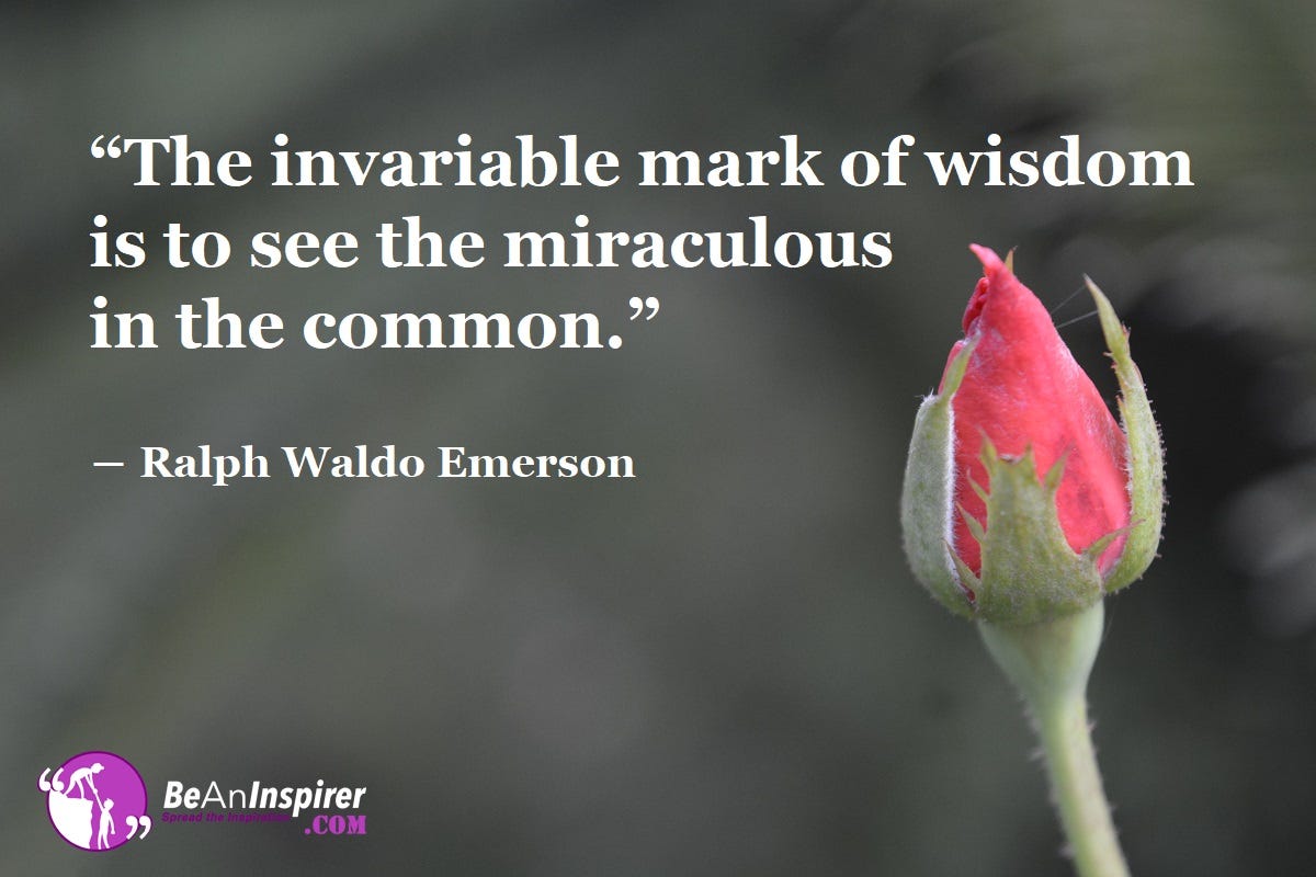 Art of Appreciating Little Things: 4 Invariable Mark of Wisdom of Life ...