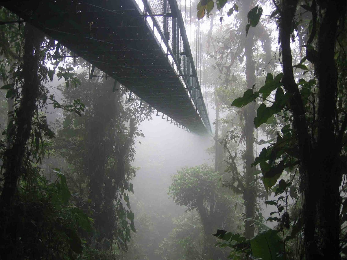 4 Fun Facts about Monteverde. Monteverde is one of the most important ...