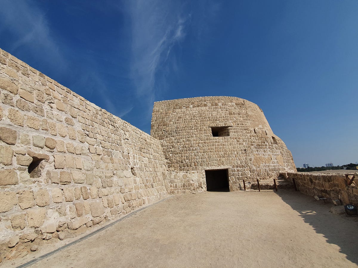 Aalii. A worldly plant, and a town famous for… | by Avi Kotzer | Silly ...