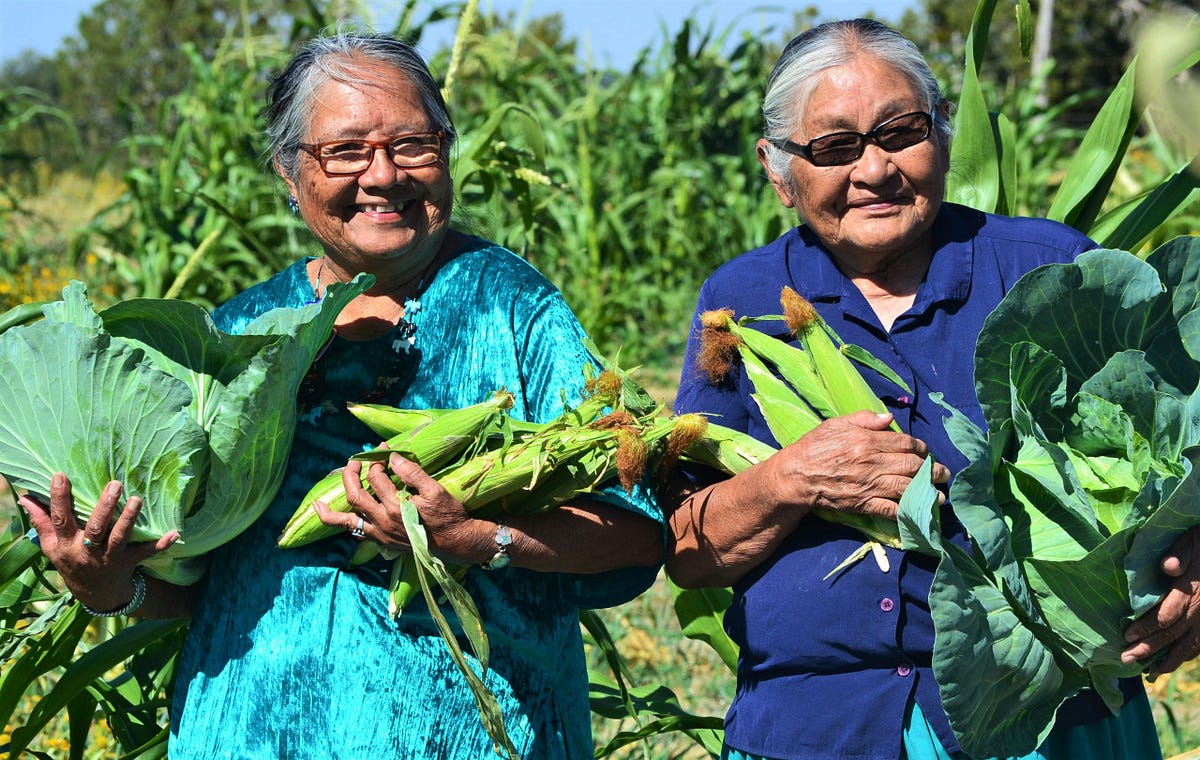 Regenerative Agriculture’s Indigenous Roots | by Liz Sena | Medium