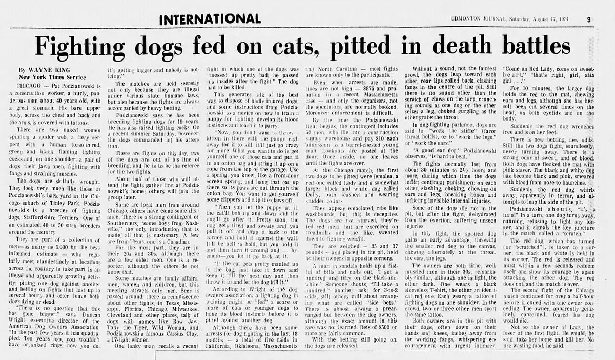 ‘Bait Dogs’: The Damaging Impact of Benevolent Misinformation | by P ...