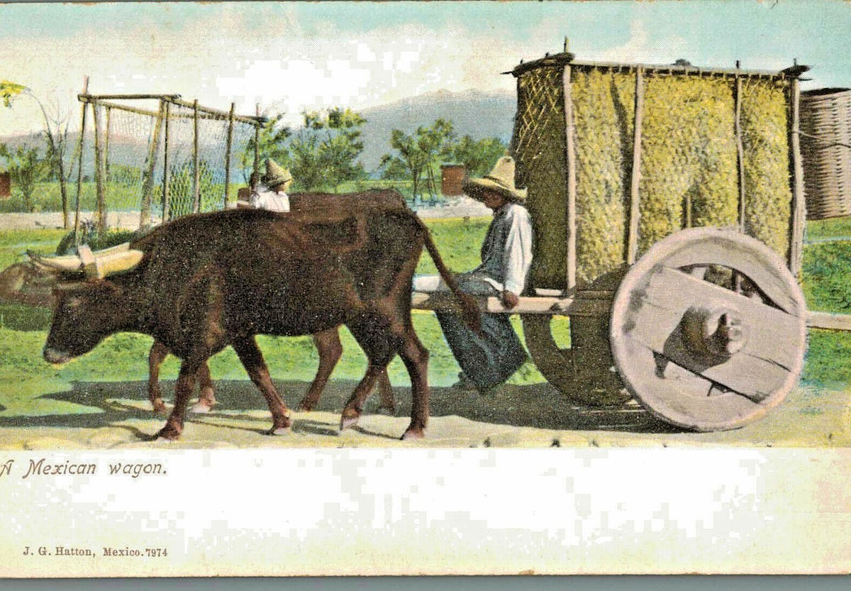 Hell for Women and Oxen. Texas , 1827, from the Marshlands and… | by ...