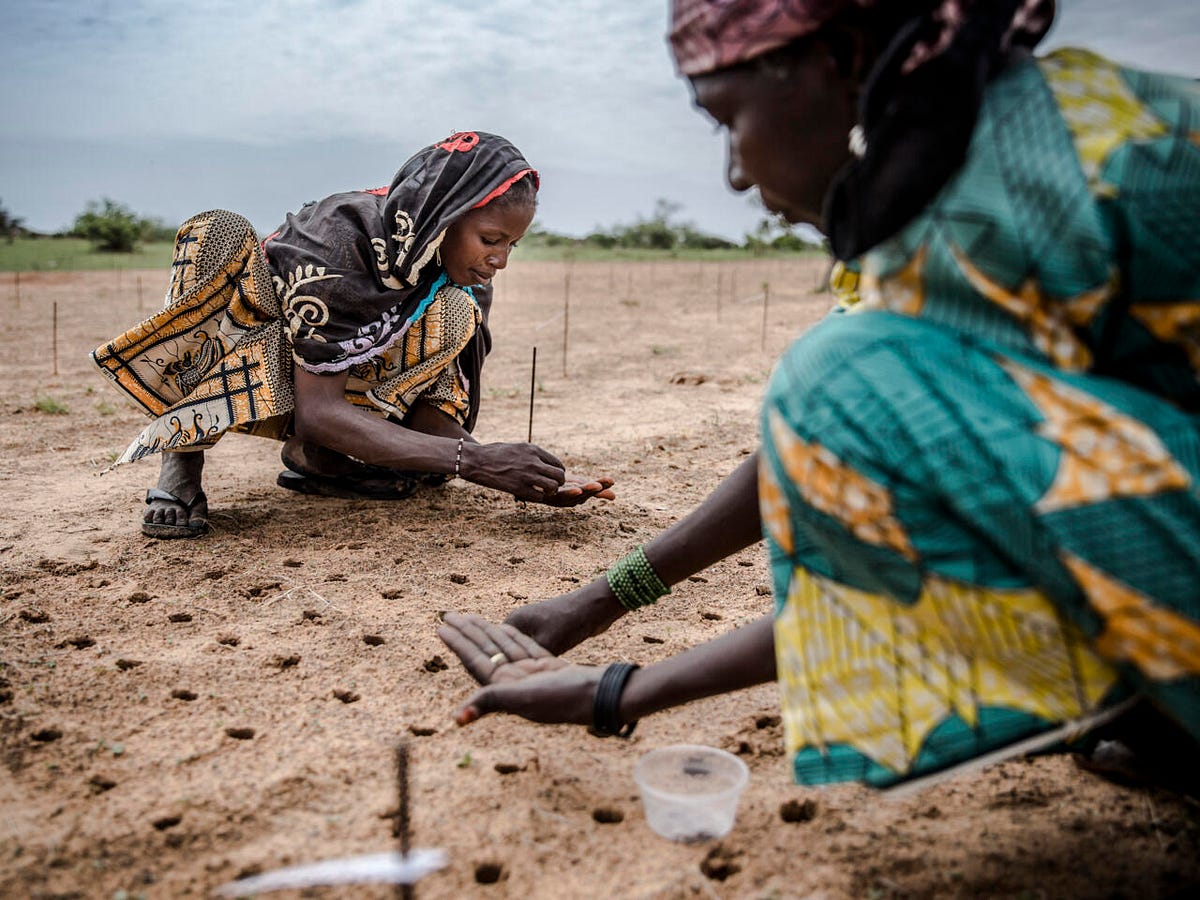 Confronting the Deadly Sahel Heatwave: A Reckoning with Climate Change’s Devastating Toll | by ...