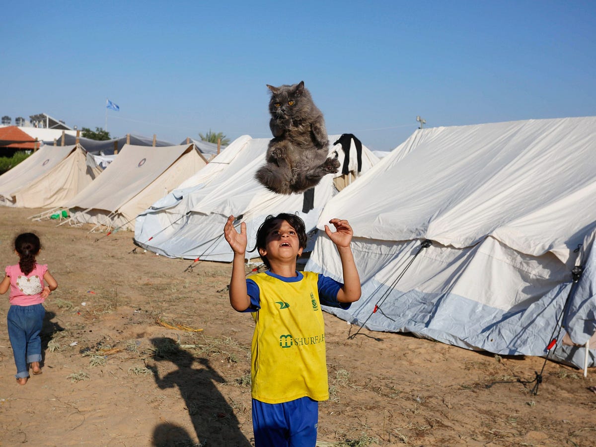 Photos: UNRWA camp in Gaza stirs painful memories of the Nakba | Israel ...