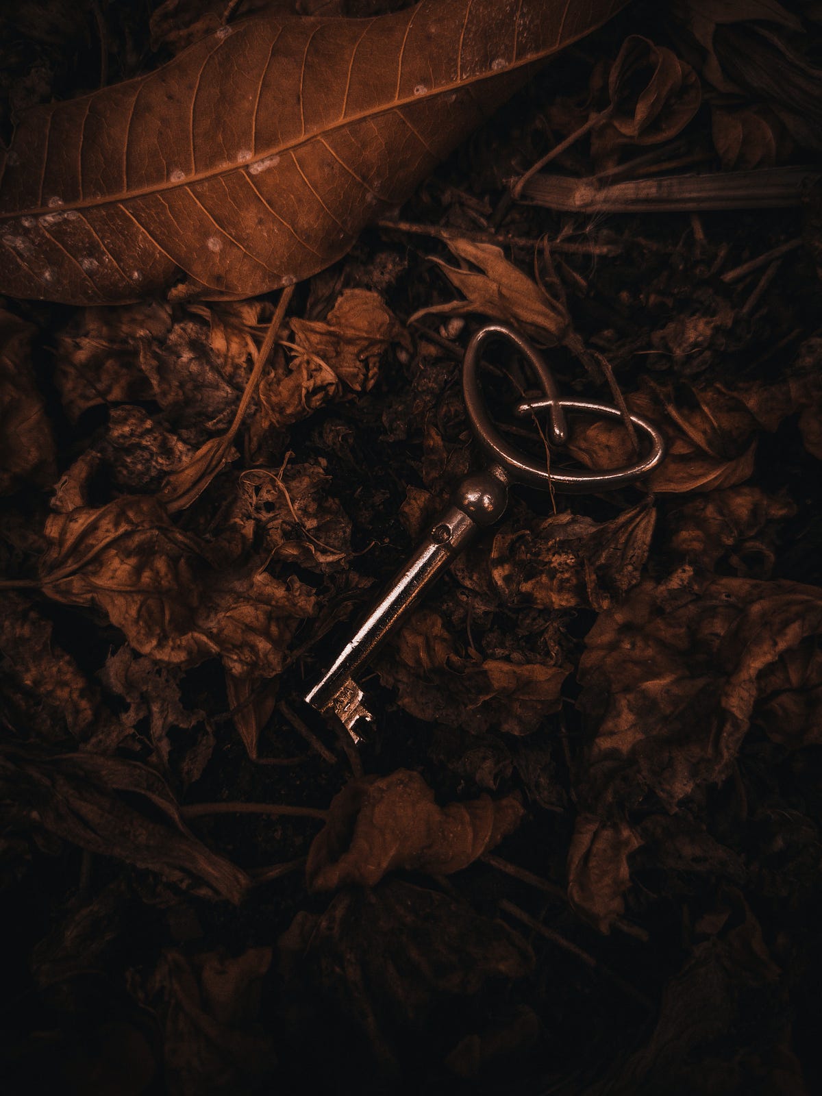 The Fear - Emily Writes - Medium