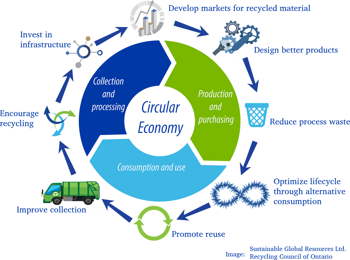 The Circle of Life: Why a Circular Economy is the Coolest Thing Since ...