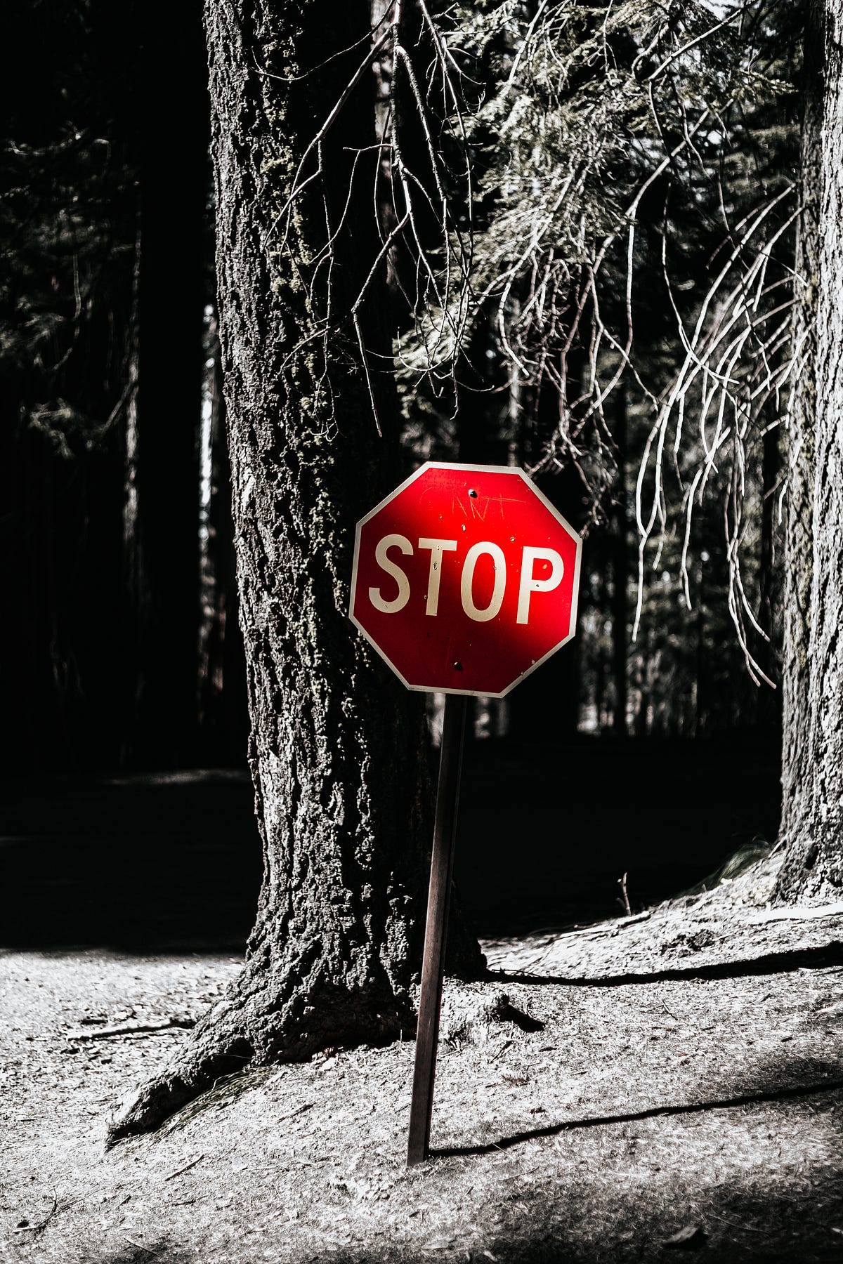 Why You Should Stop Follow for Follow on Medium | ILLUMINATION