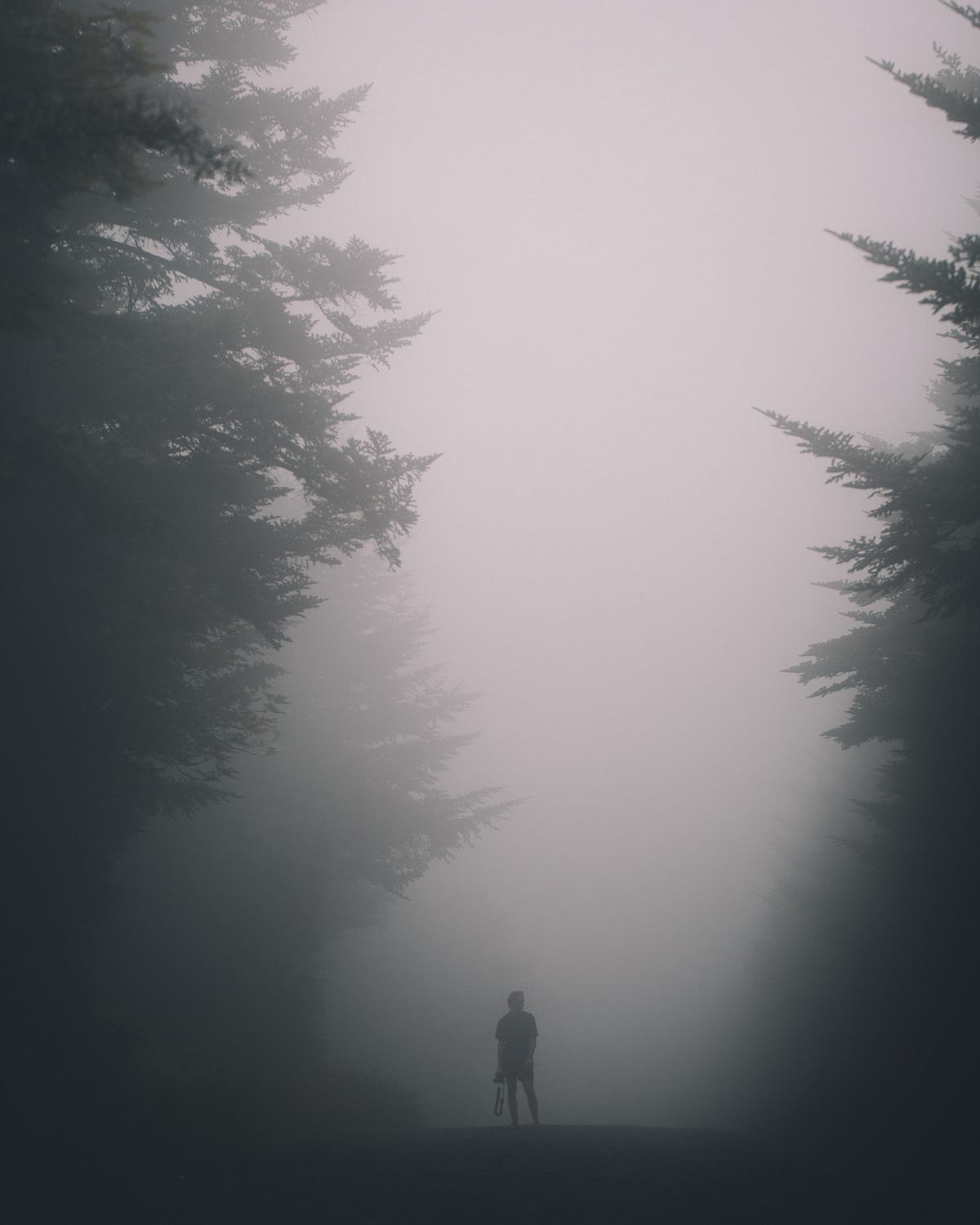 Life in fog. Heart echo, | by Madiha | ILLUMINATION’S MIRROR | Oct ...