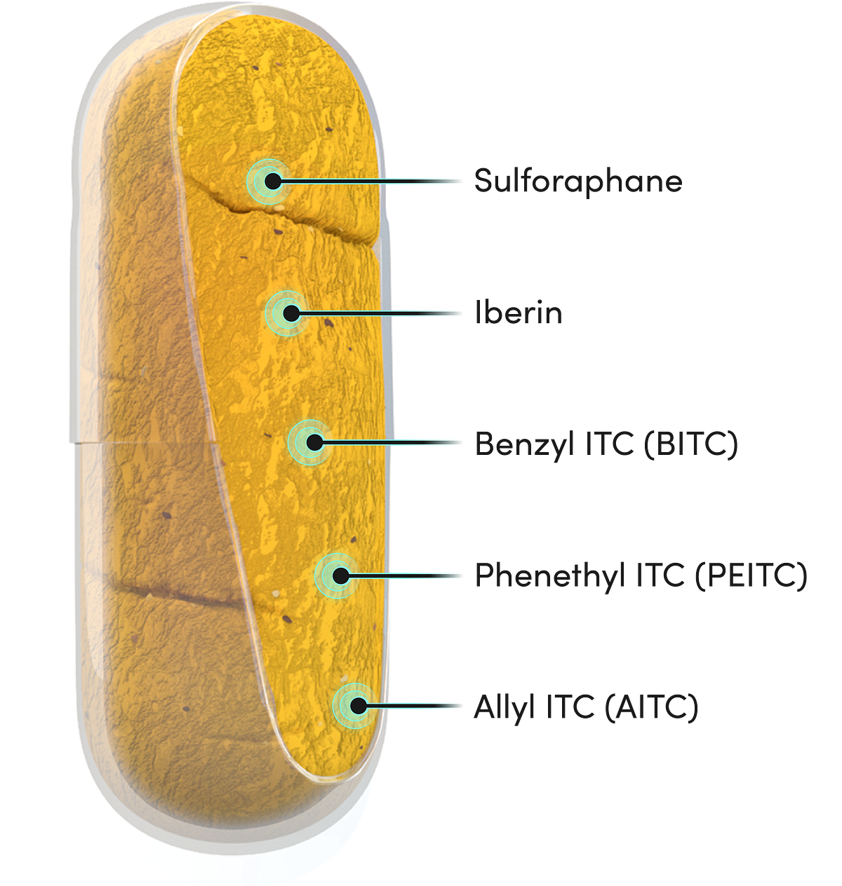 Scientists has Confirm: Newly-Unlocked “Golden Nutrient” Behind The ...