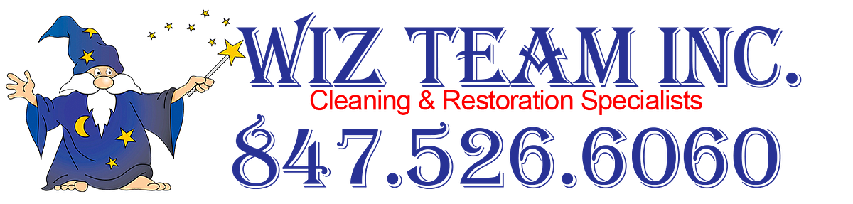 WIZ TEAM INC.. Carpet Cleaning and Air Duct Cleaning… | by Wiz Team Inc ...