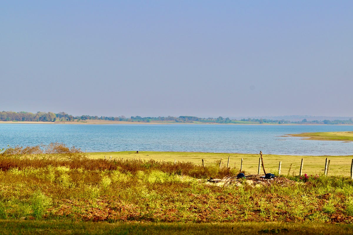 Kabini River: A Journey Through Nature, Culture, and Economy | by ...