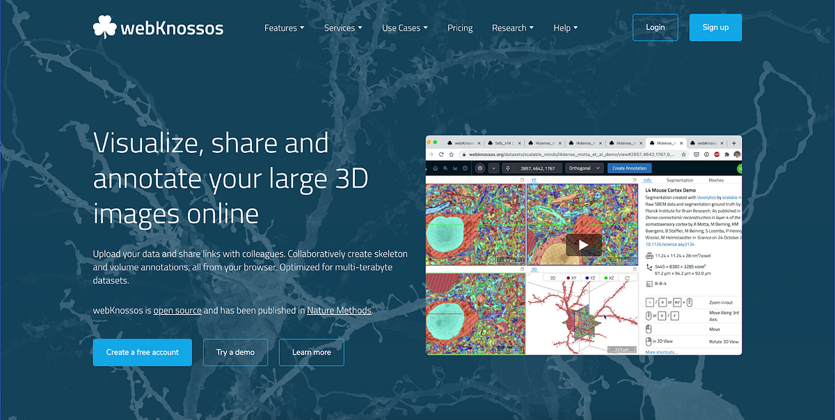 REBRANDING WEBKNOSSOS. WHY DID WE GO THROUGH A REBRANDING? We… | by Albane le Tournoulx de la ...
