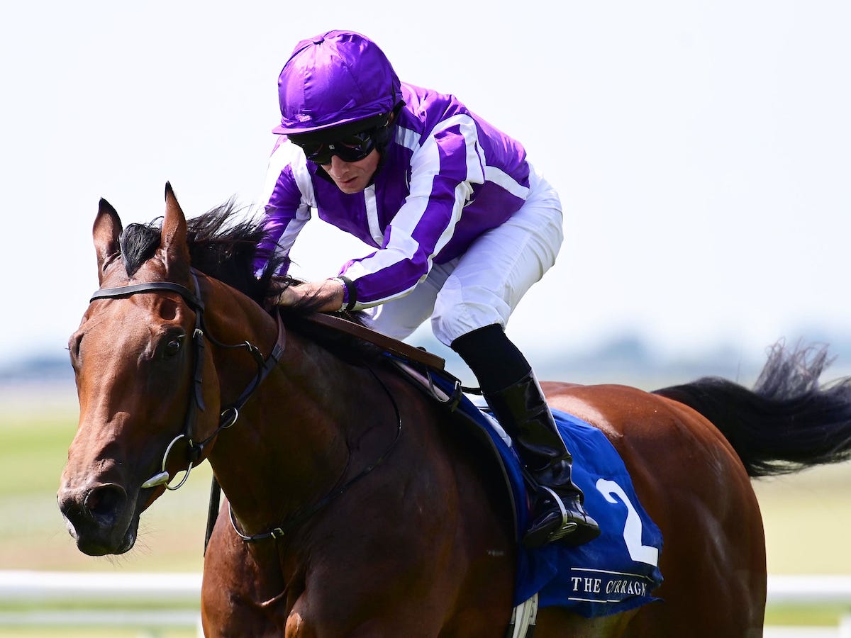 Royal Ascot Day 4. After murdering the bookies the first… | by Dean O ...