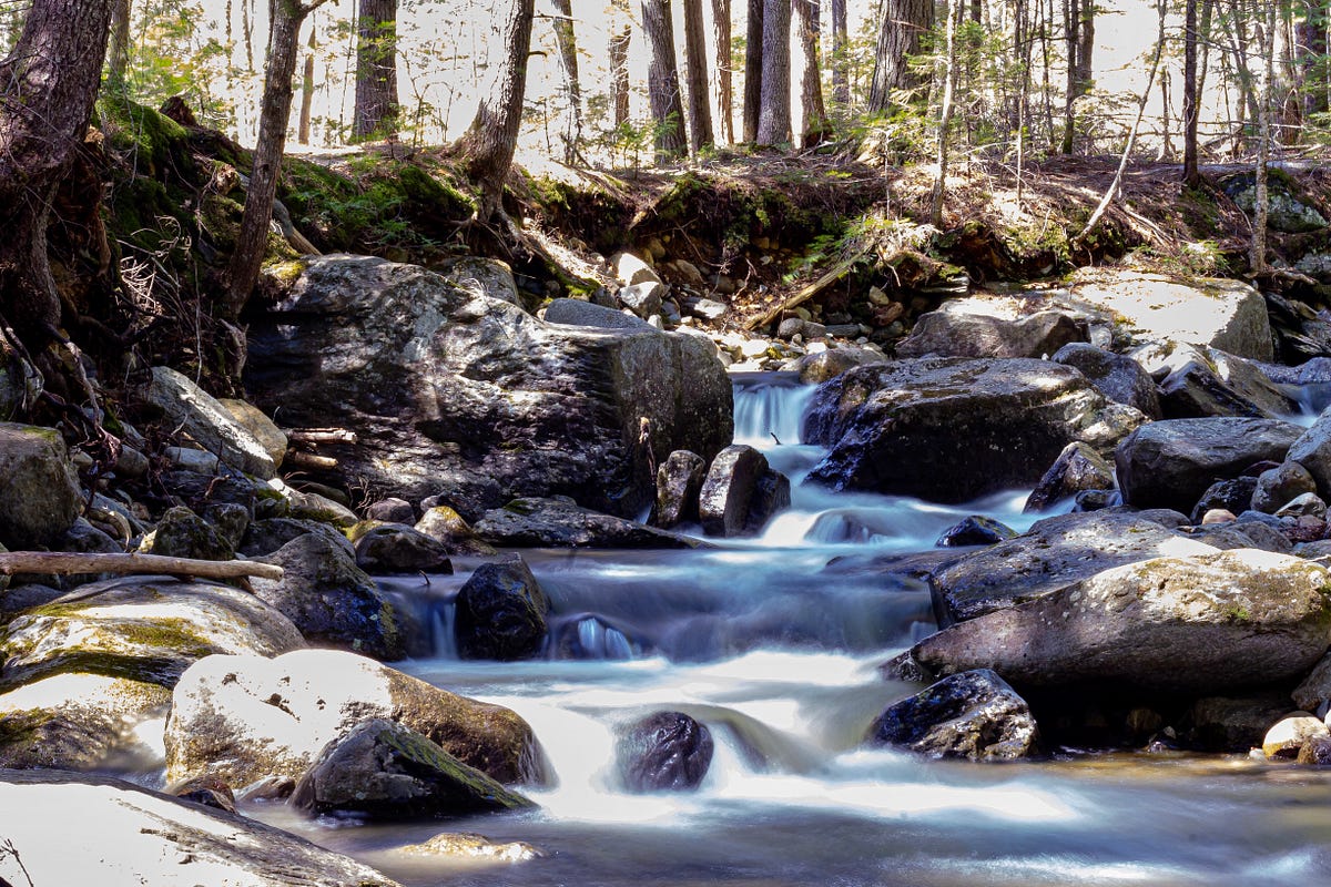 the bubbling brook - matthew bottomley - Medium
