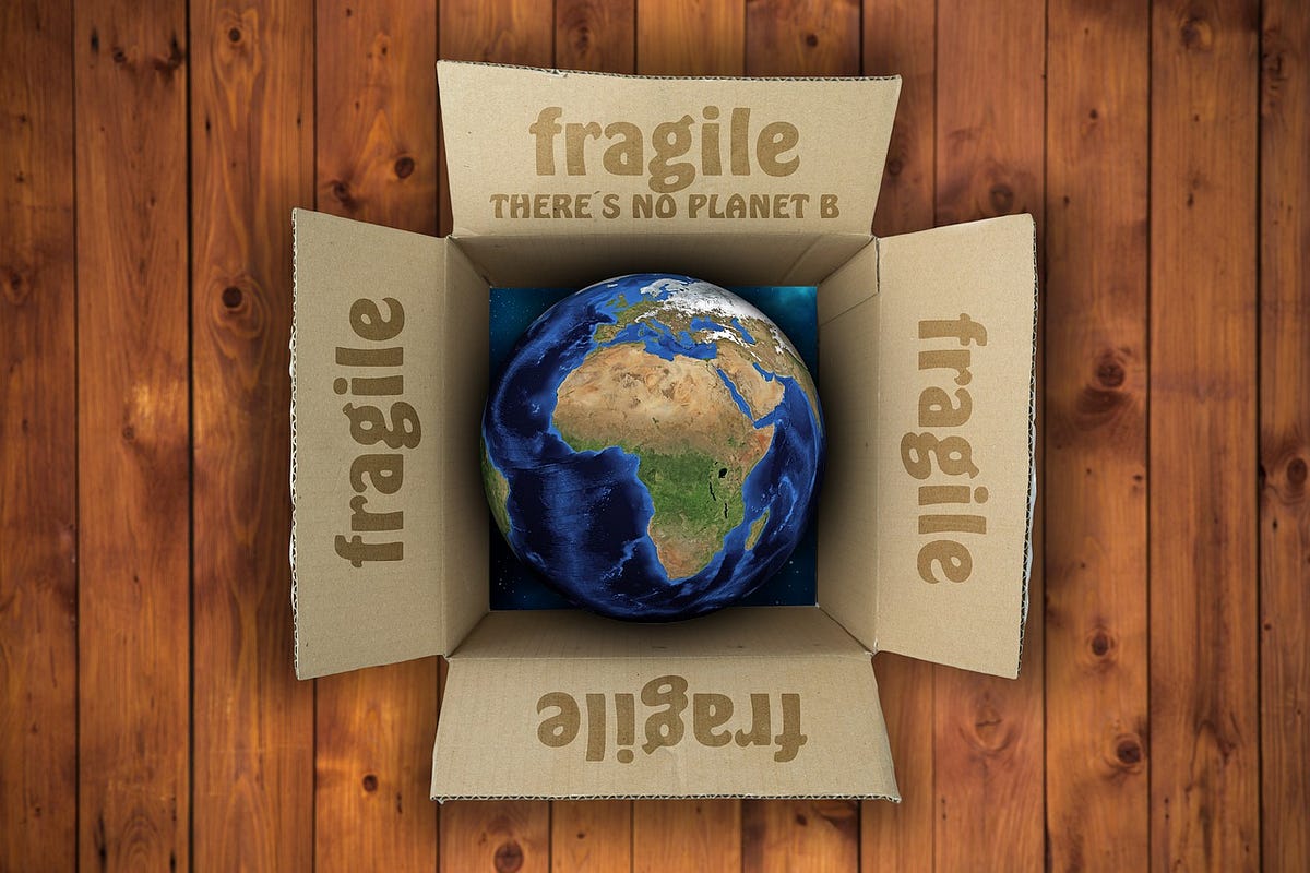 The WEF's King Charles Climate Change Report | by Opal A Roszell ...