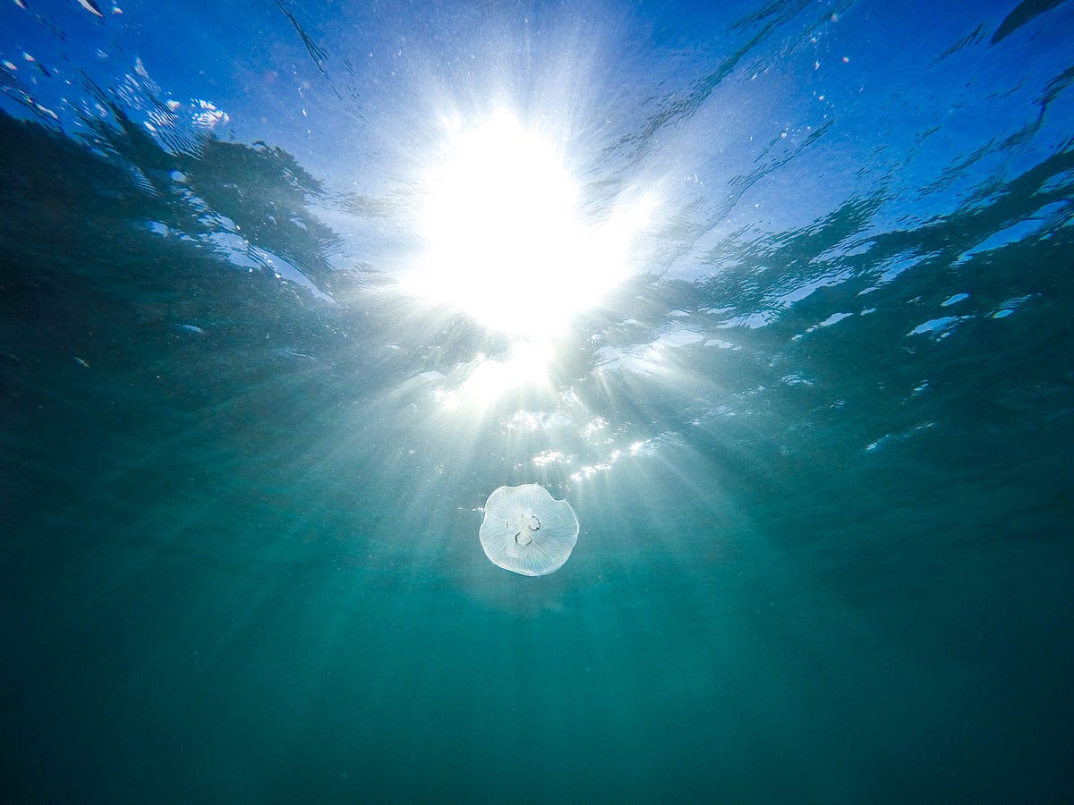 Scattered Sunshine Easing The Pressure to Be | by Robert G. Longpré ...