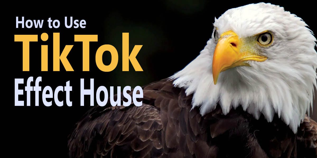 How to Use TikTok Effect House Effectively? | by ARZPAK | Medium