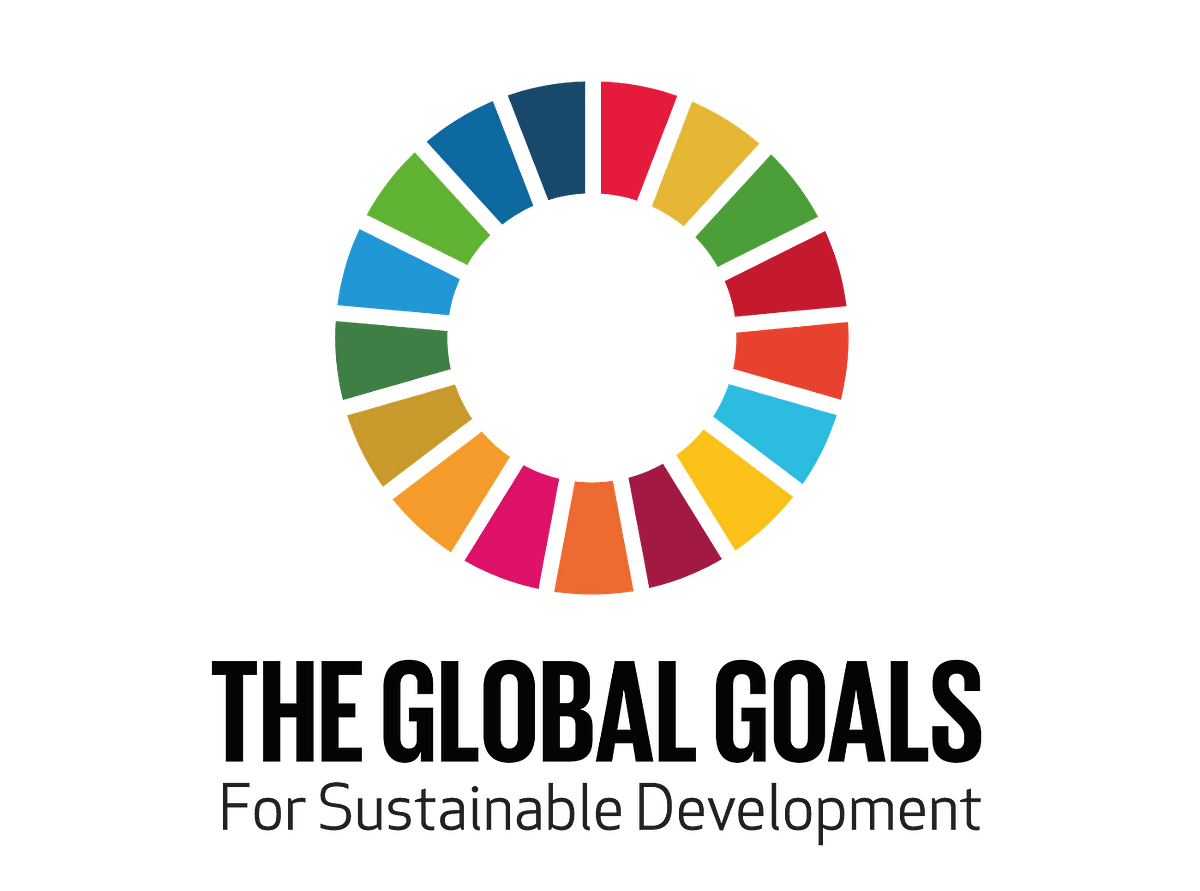 LGBTQI+ and the global sustainability gap – what can companies do? | by ...