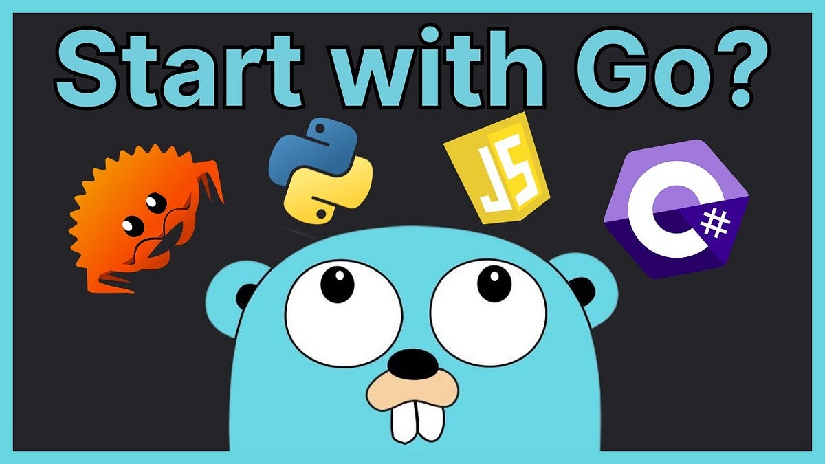 Why Is There So Much Hate for the Go Programming Language? | by Tomas ...