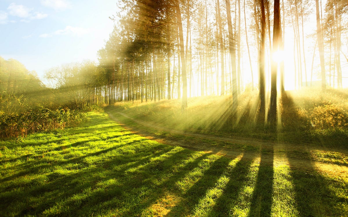 30 Days to Become a Scholar-Warrior, Day 25 — Go on an outdoor ...