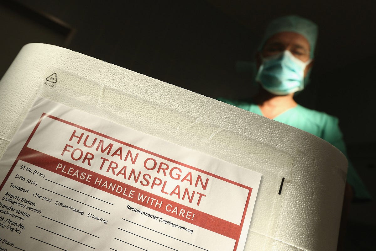 Making On-Demand Organ Transplants Possible with Cryopreservation | by ...