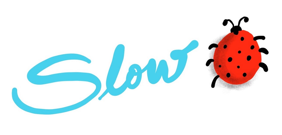 Slowbug — Debug Code in Slow-Motion | by Ravi | Python ️ | Analytics Vidhya | Medium