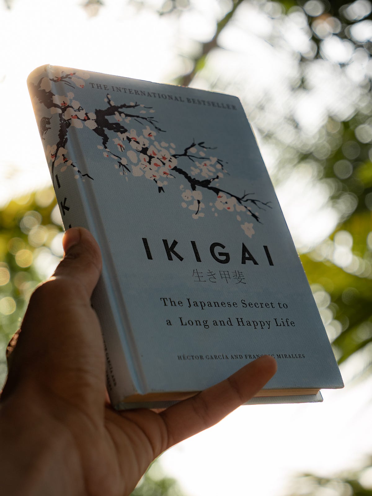 IKIGAI Book Review/Summary. Ikigai is a Japanese word that means “a… | by Shehraj Singh | 1 Min ...