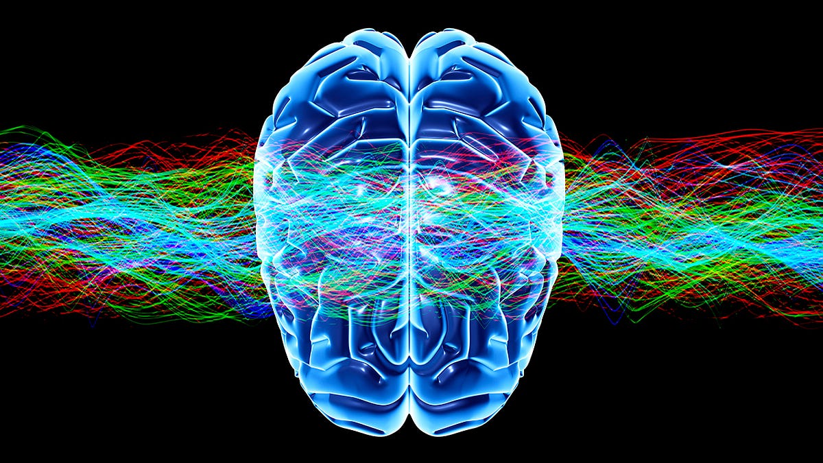 How Does Deep Brain Stimulation Affect Memory? | by Yinqi Liu | Oct ...