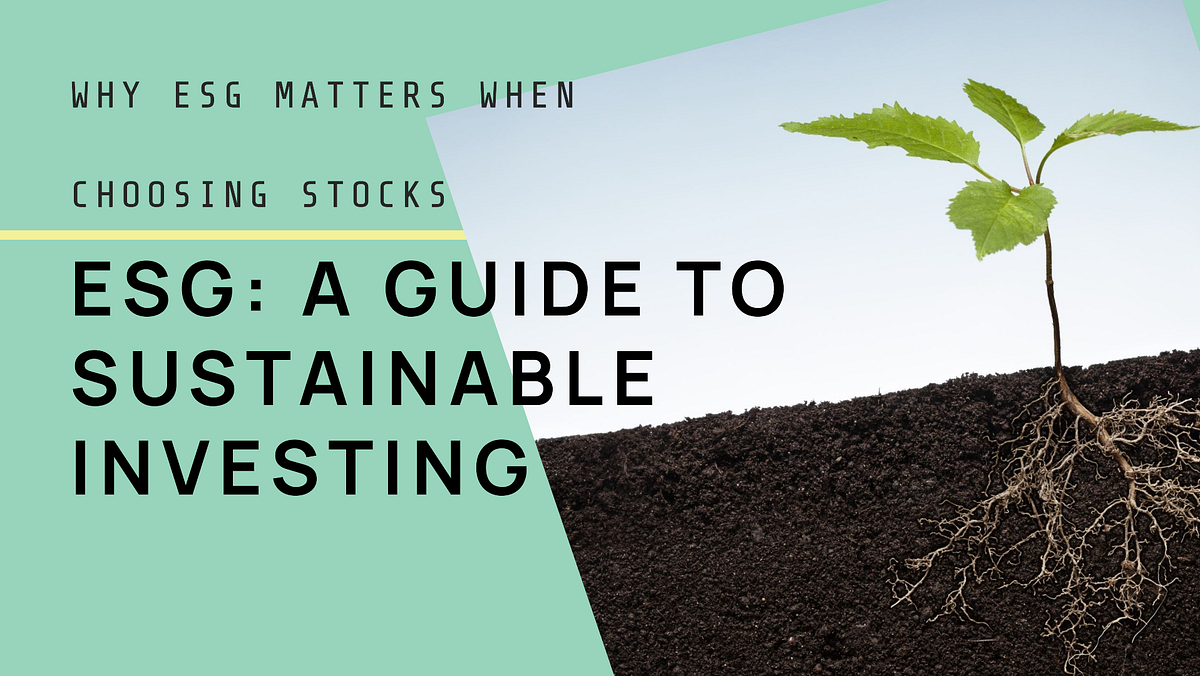 What is ESG, and why is it important when choosing a stock? - Sanzhi ...