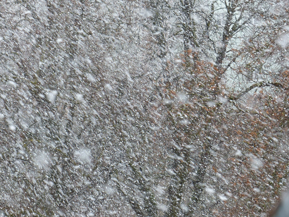Winter is Coming (Again)!. If you haven’t prepared for the winter… | by ...
