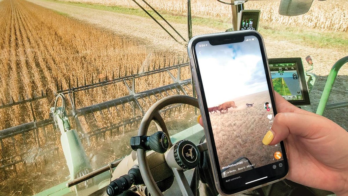 TikTok Farming: Monetizing Mass Video Content Creation | by Conner Um ...