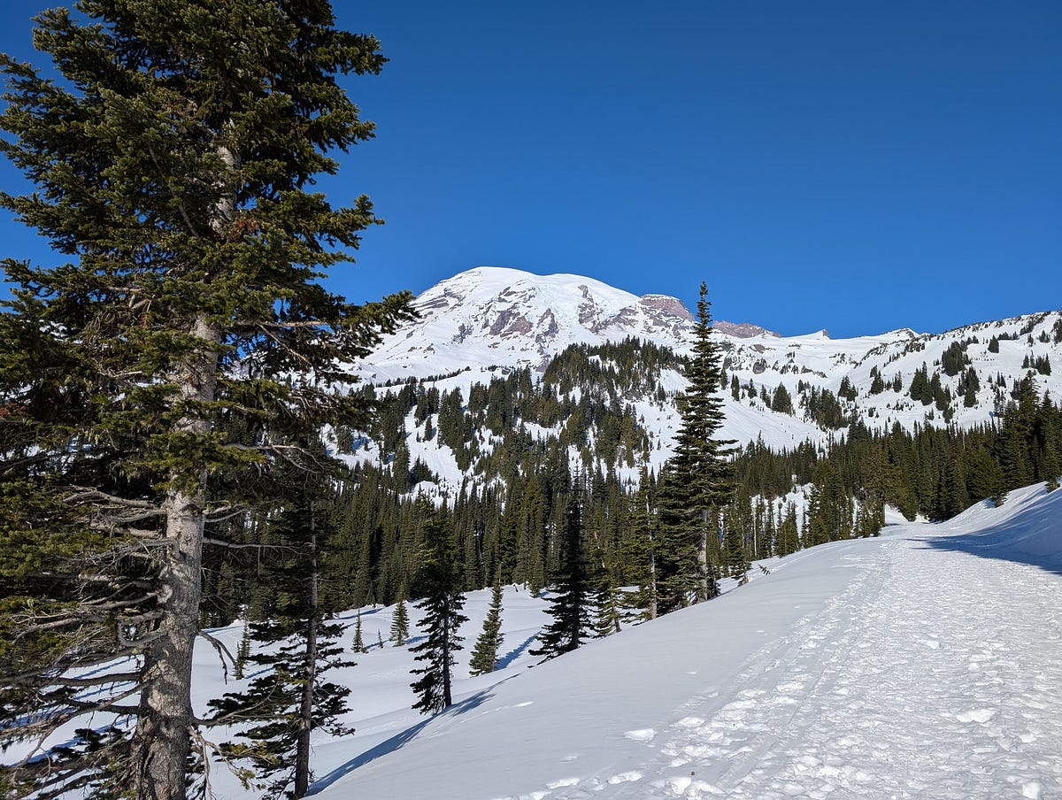 Chaos Compass: Career Navigation for Turbulent Times | by Robert Bunge ...