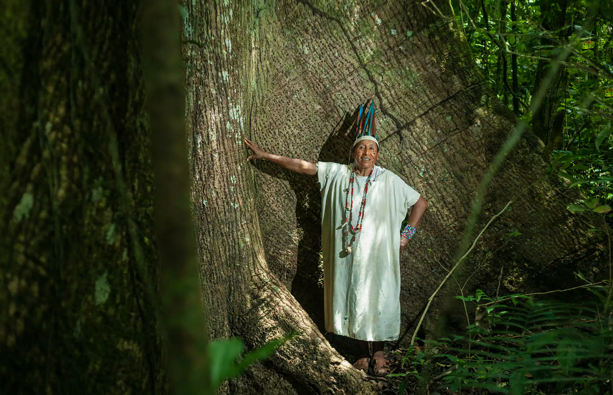 Guardians of the forest. The indigenous Harakmbut people are… | by ...