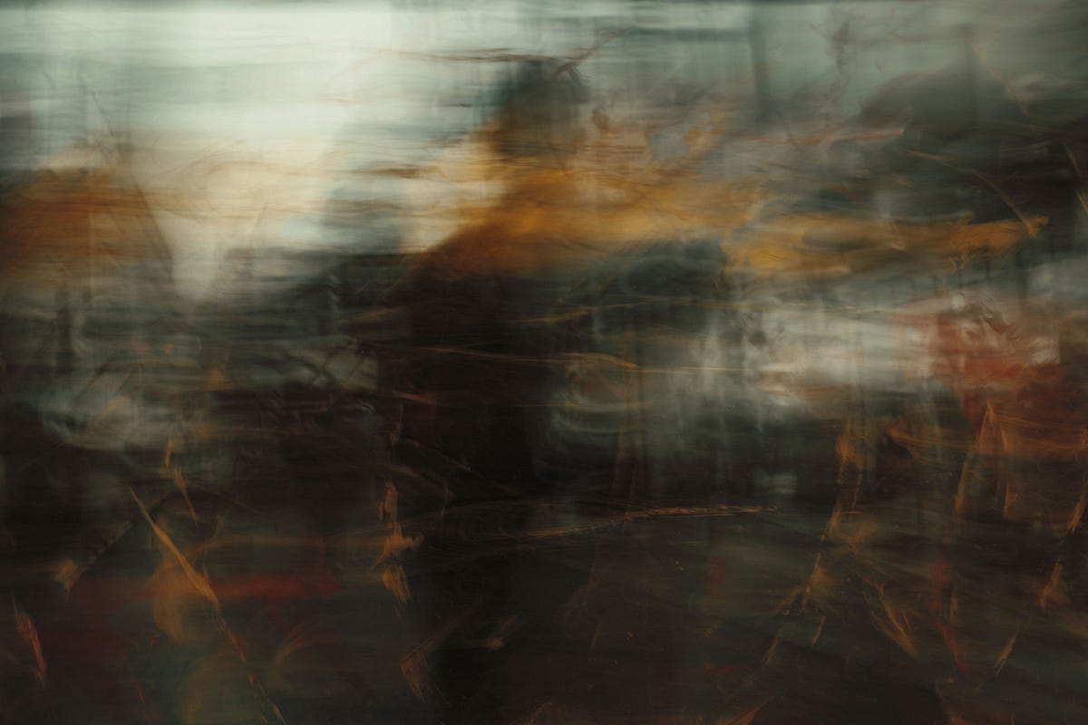 Cattails in the Wind. A Poem | by J.D. Harms | Storymaker | Medium