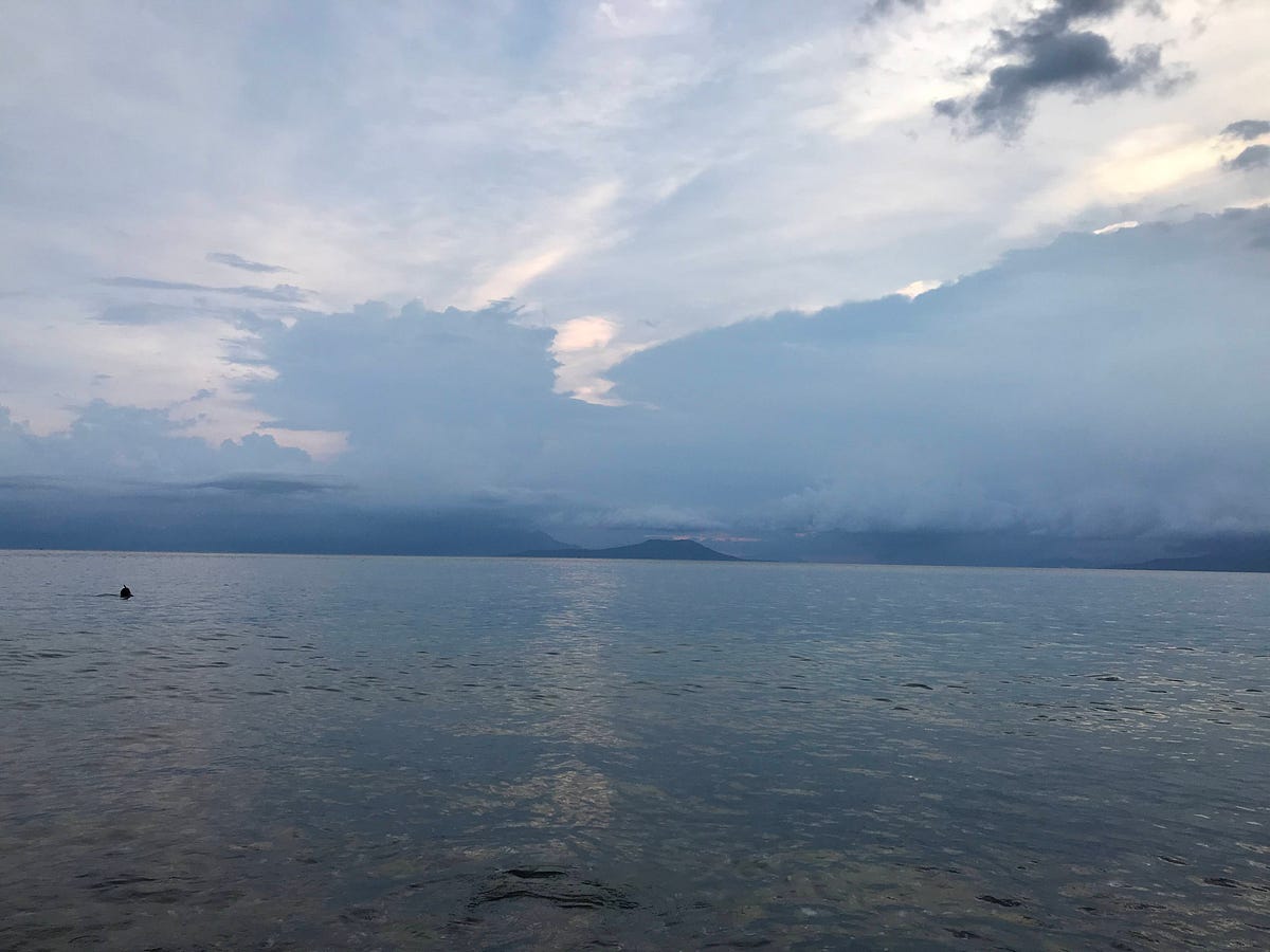 How is life recently?. It is my birthday today. I turn 22… | by Angelo Querubin | May, 2024 | Medium