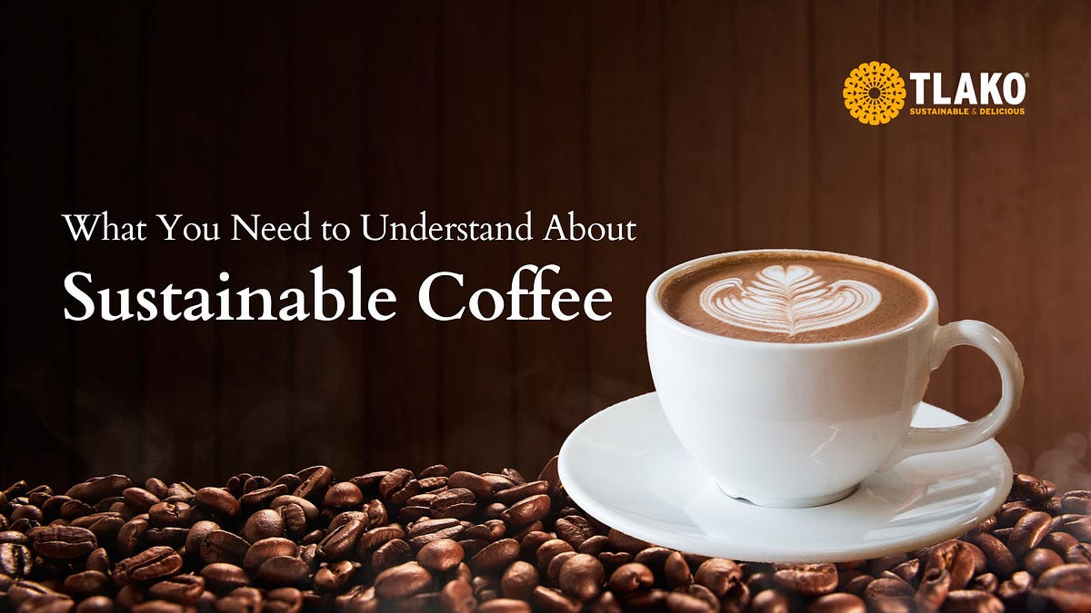 What You Need to Understand About Sustainable Coffee | by Tlakocoffee ...