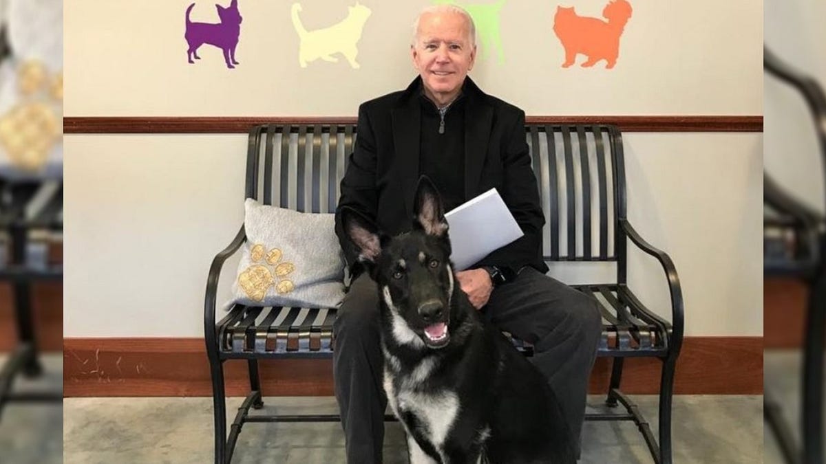 Major, The First White House Rescue | by Miryam Gutierrez | Medium