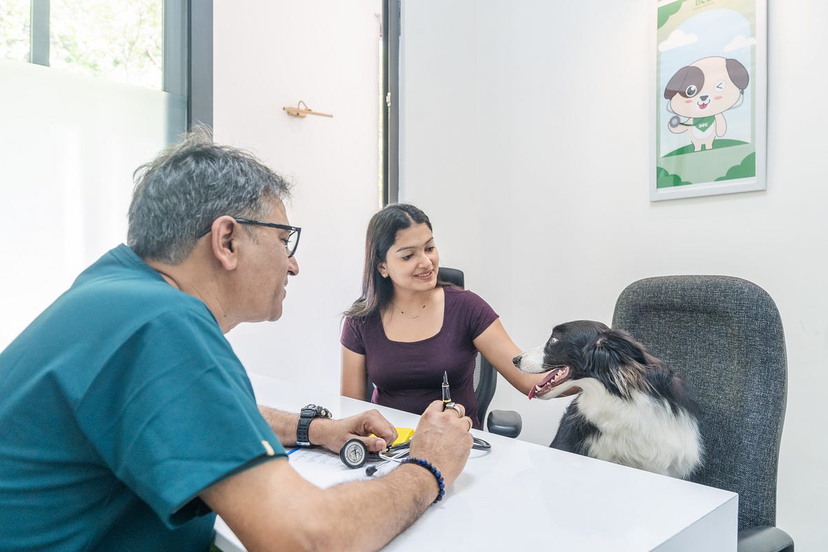 Pet Behavior Management: Tips from Gurgaon’s Veterinary Behaviorists ...