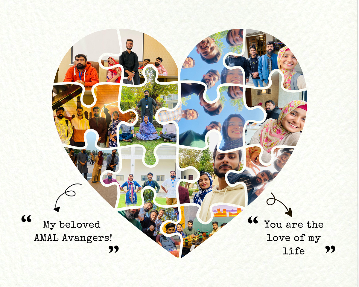 Visualizing AMAL Fellowship Experience | by Muhammad Naeem Tahir | Oct, 2023 | Medium