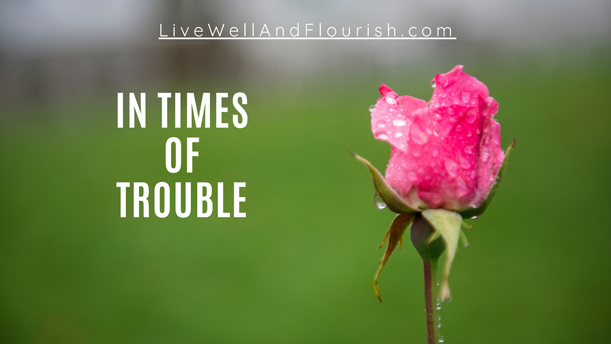 In Times of Trouble: How Control Helps You Deal with Adversity | by ...