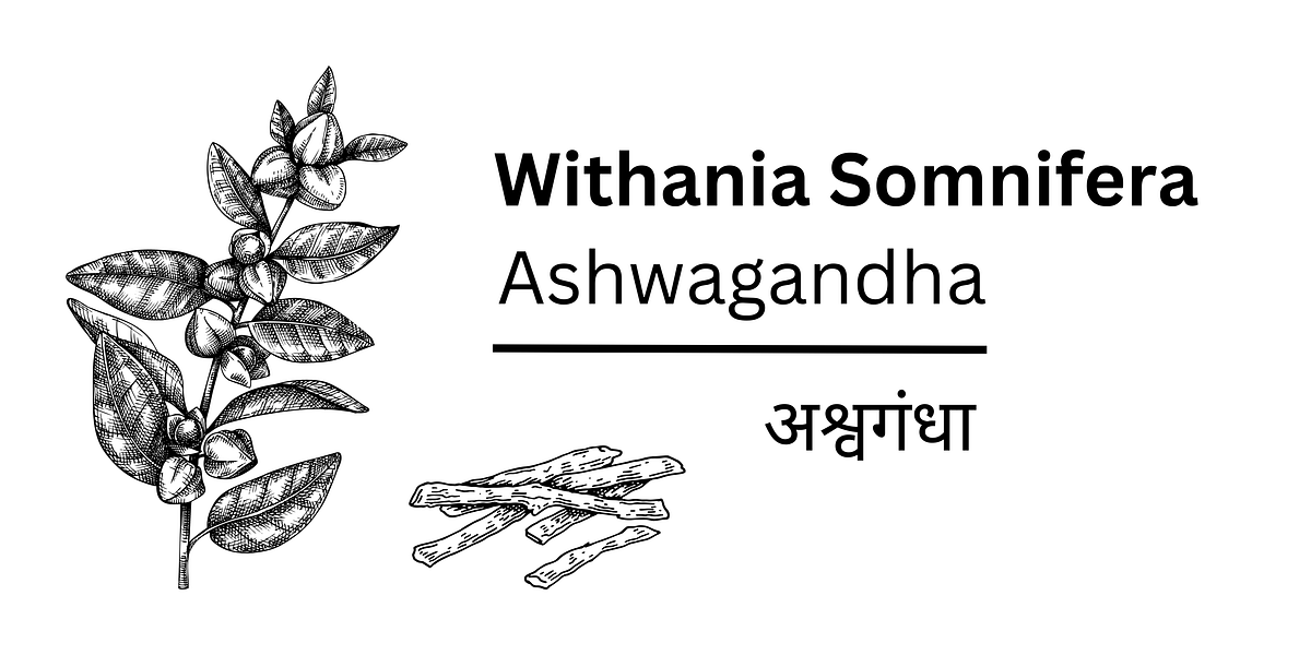 Ashwagandha/Withania Somnifera: Atypical Adaptogen source | by Ved H ...