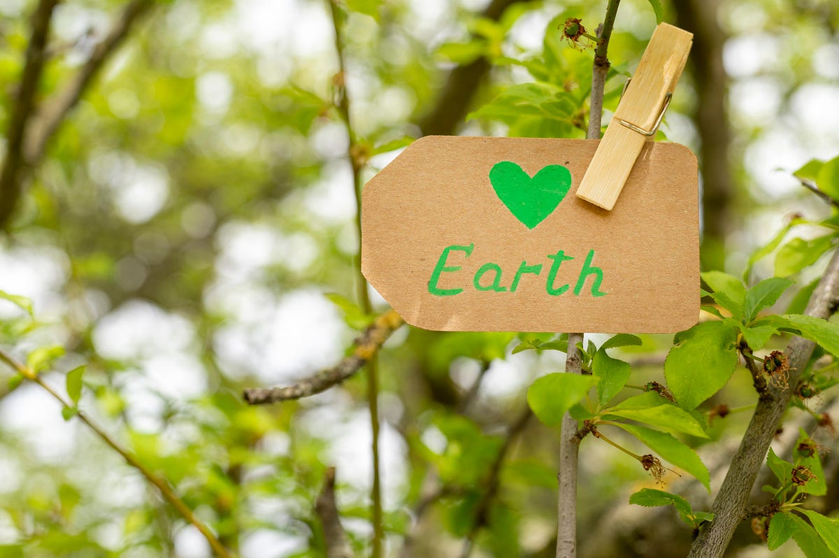Living Green: A Guide to Sustainable Everyday Choices | by Olivia ...