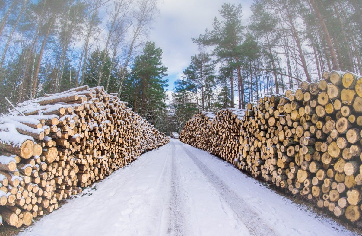 Adding logging without cluttering existing code | by Aidan O'leary ...