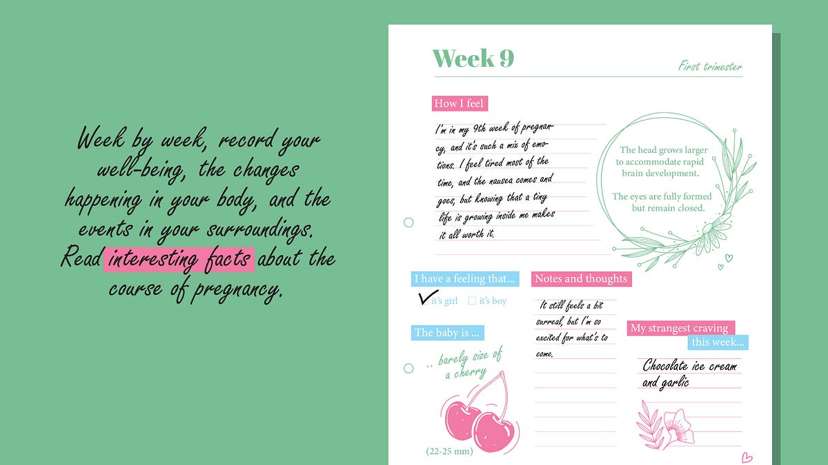 Pregnancy Journal, Tracker and Planner with essential Checklists | by ...