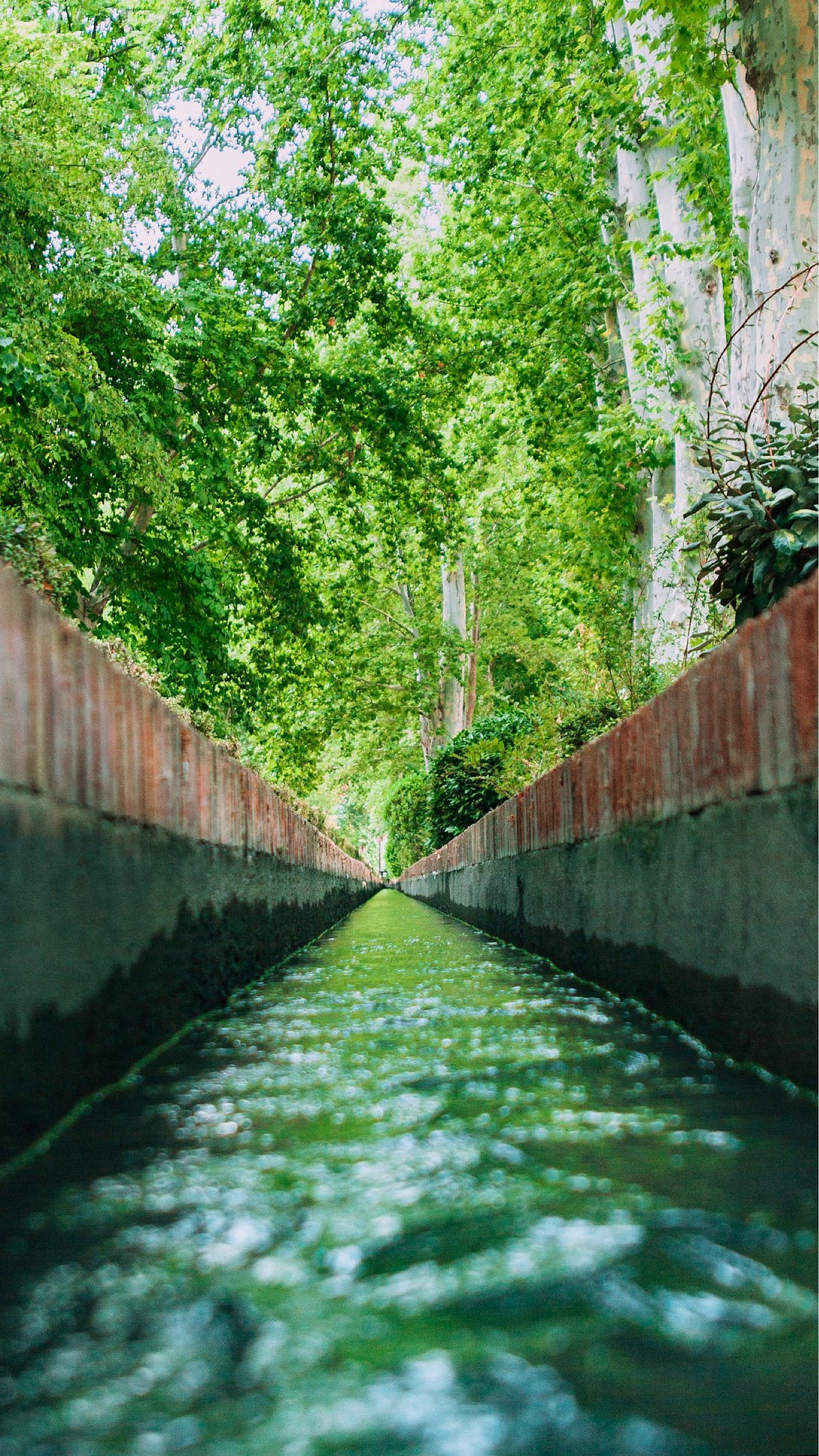 Russia’s Hidden Naval Highway: How the Unified Deep Water System Shapes ...