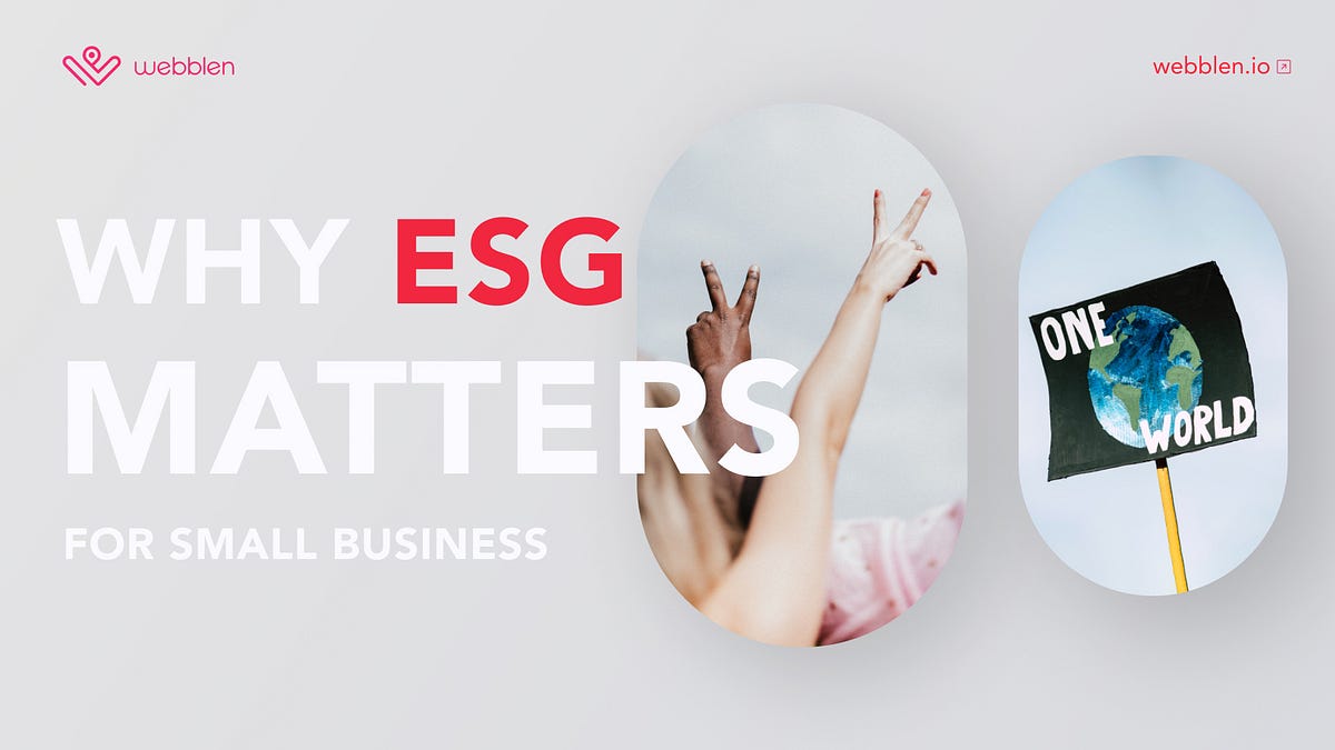 Why ESG Matters For Small Business | by The Webblen Start-up Team | Medium