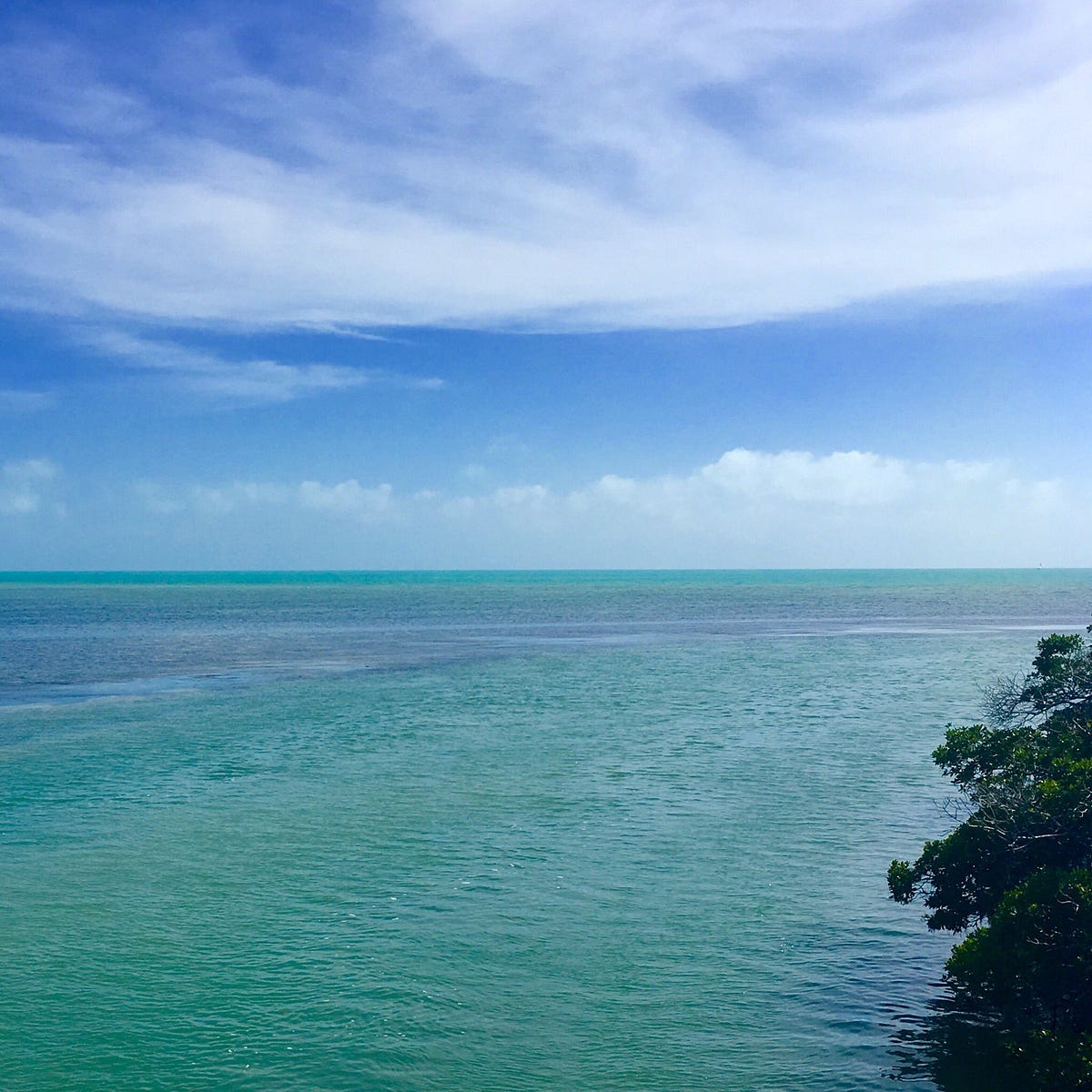 The Keys not-quite-100. My first attempt at 100 miles, my first… | by ...