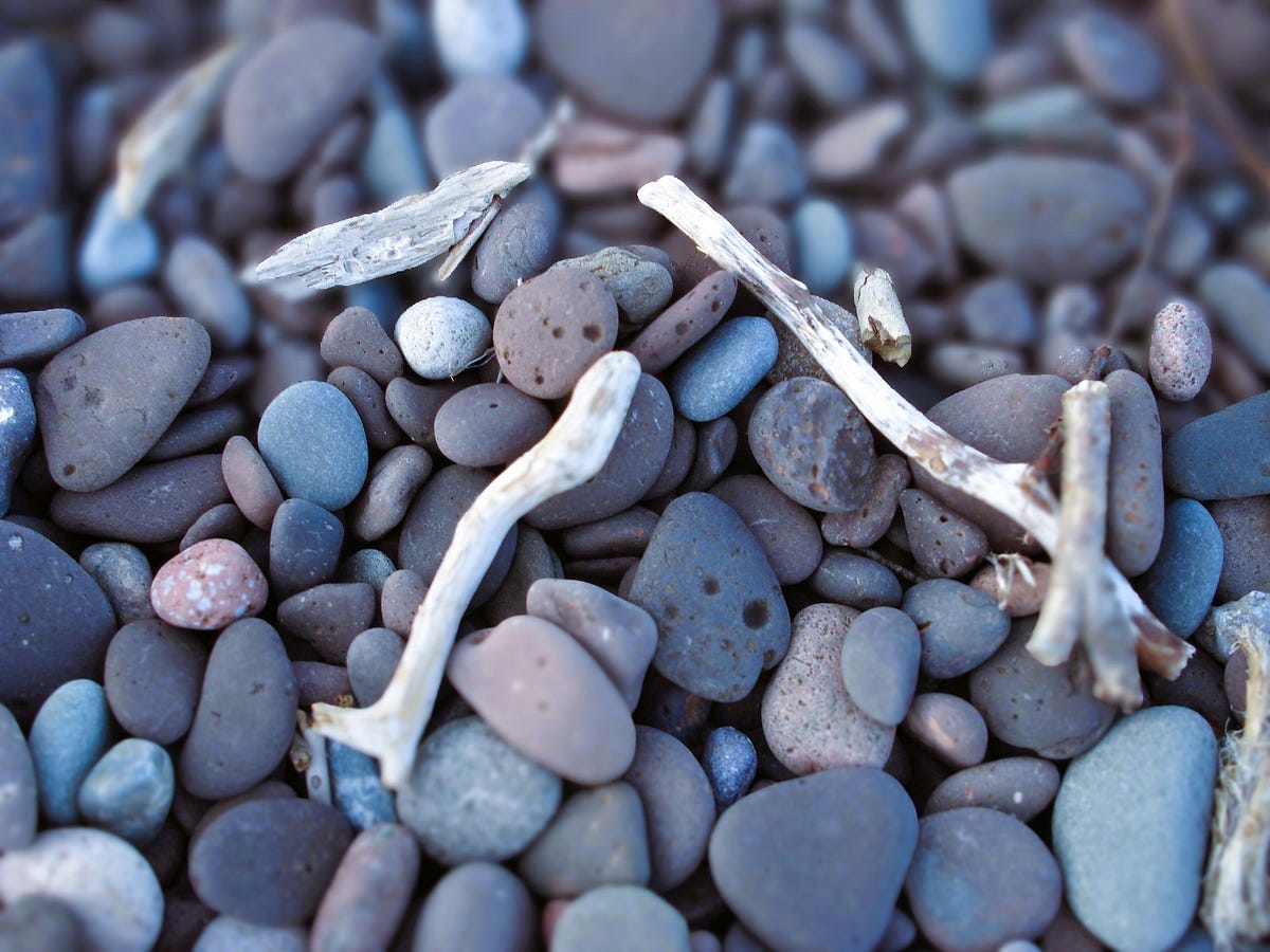 Sticks and Stones. “Sticks and stones can break my bones… | by Kim ...